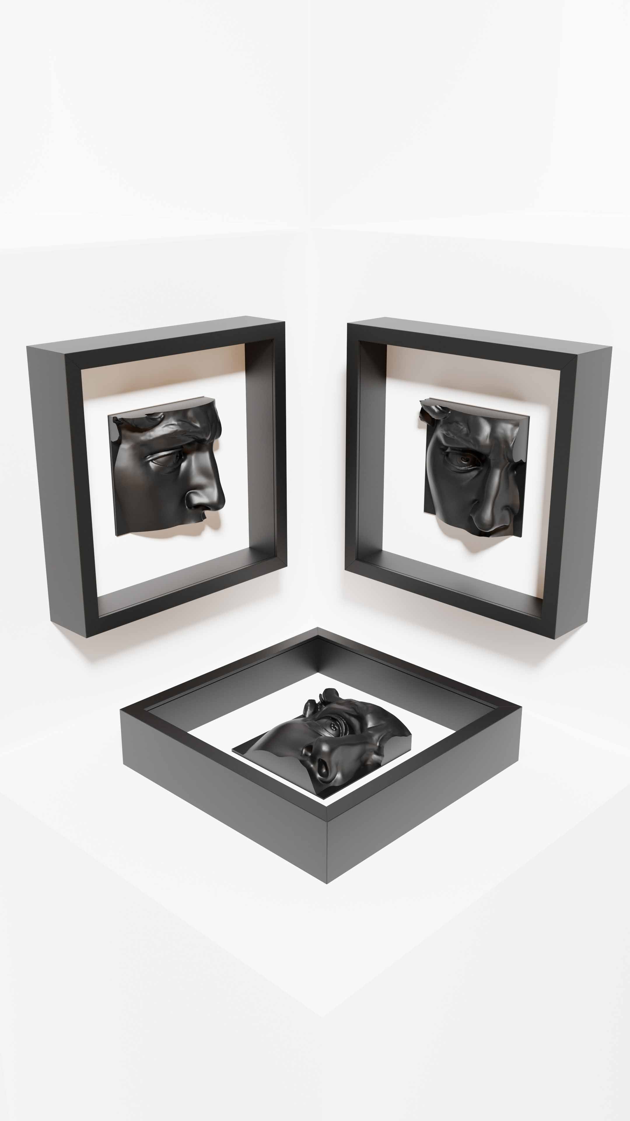 Frame & Sculpture | Sculpture-Like Wall Art